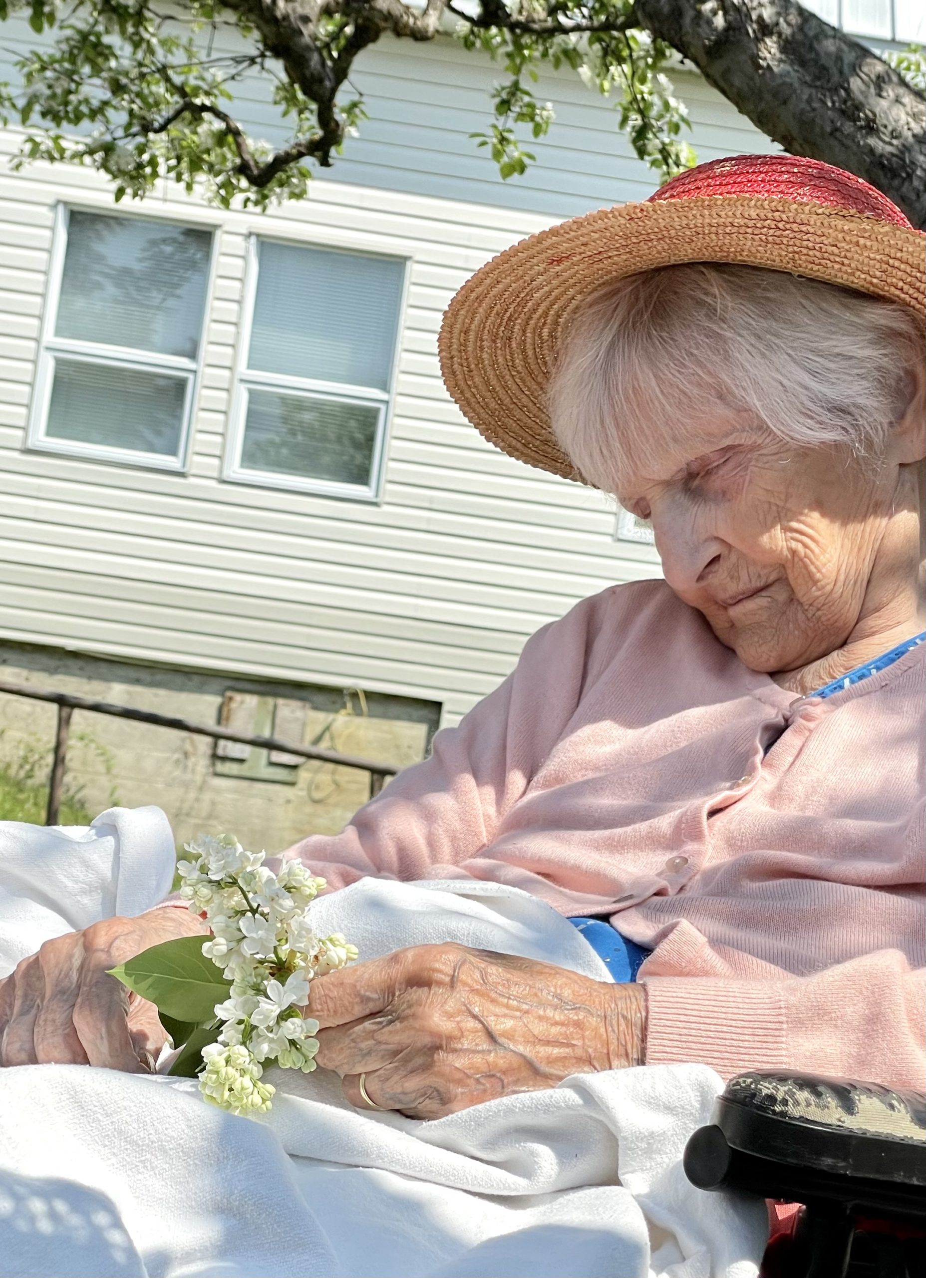 Rural Resilience: Navigating the Network of Senior Resources in Rural ...